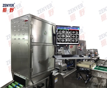 Products / Visual detection system