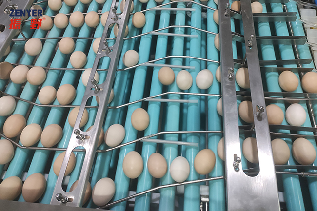 714A Egg farm packer