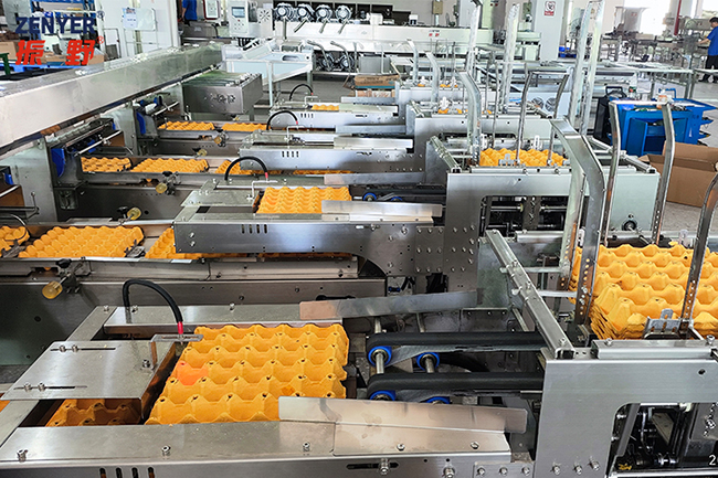 304A Egg processing line