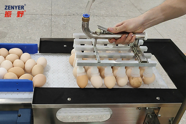 ZYF-JS3-L(R) Egg grader (102BS)