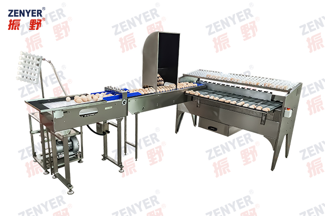 301A Egg washing grading line