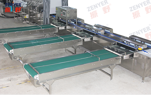 303AS Egg washing grading line