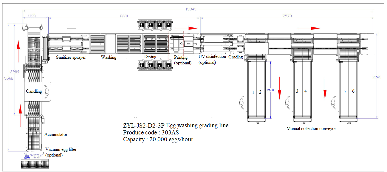 303AS Egg washing grading line