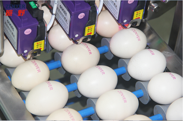 403H Egg printer