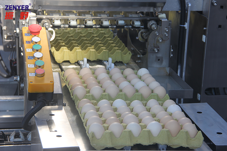 713A Egg farm packer