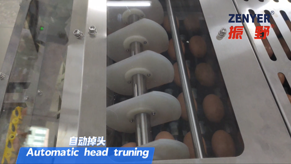 713AS Egg farm packer