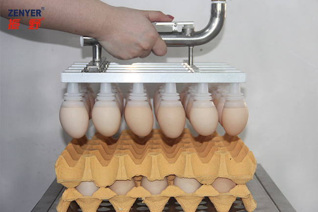 602 Vacuum egg lifter