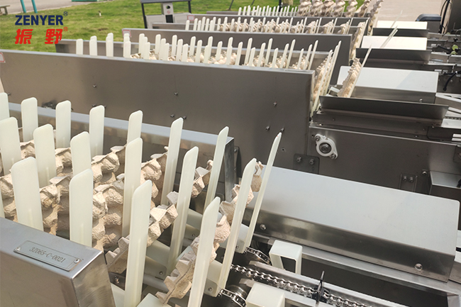 FBD30-4 Egg grader (109)